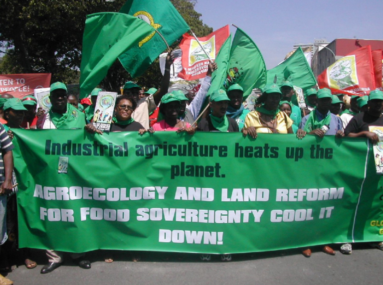 The UN and Green Capitalism Attack Food Sovereignty - Capire