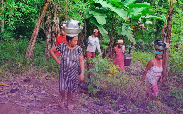 Agroforestería, feminismo y agroecología: entretejiendo los saberes y ...