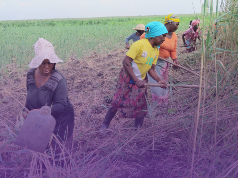 Digitalization of Agriculture in Africa: what needs to be done? - Capire